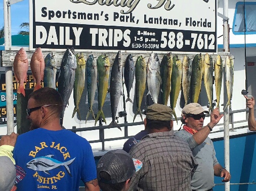 Great Memorial Day Fishing - Bar Jack Fishing