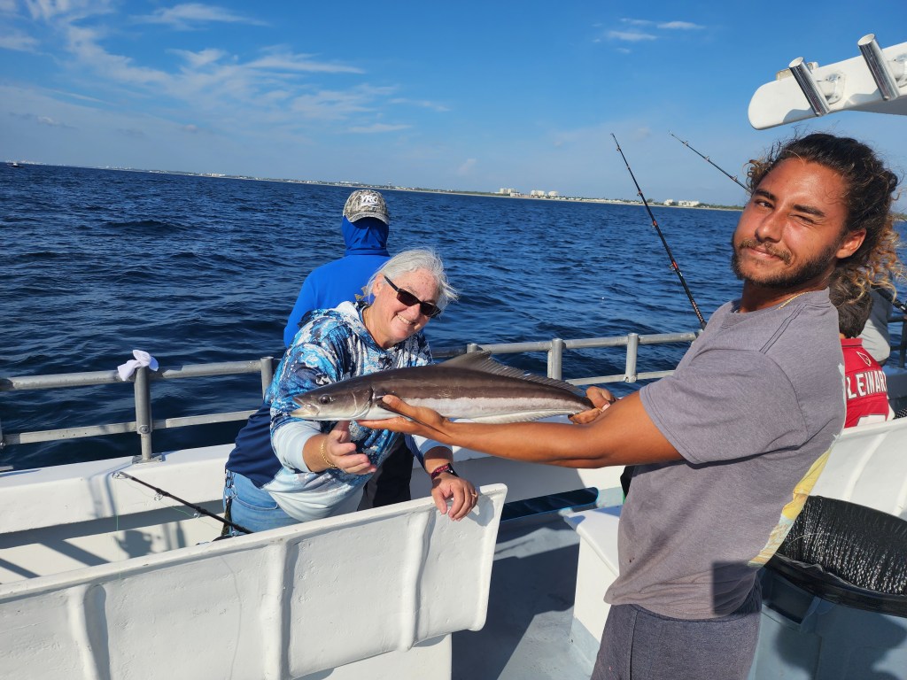 Dropper Rig for a released Cobia - Bar Jack Fishing