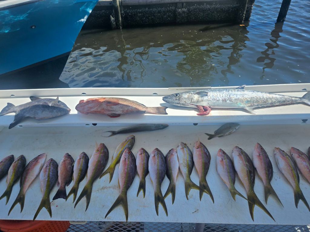 Fish Fry - Bar Jack Fishing